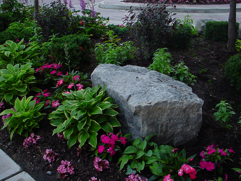 Embracing Softscapes in Landscape Design: The Art of Balance